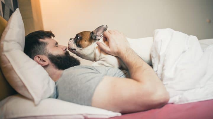 How To Help Your Dog Go To Sleep