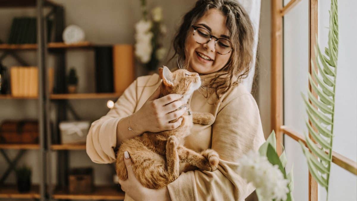 5 Steps to Hold a Cat Safely & Wrong Ways to Hold a Cat
