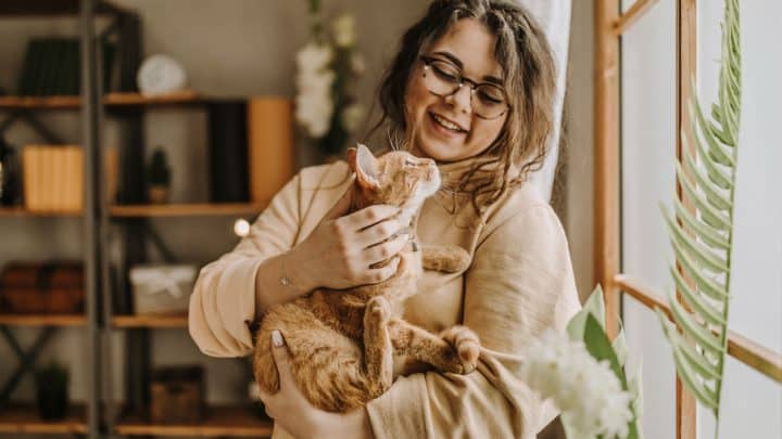 5 Steps to Hold a Cat Safely & Wrong Ways to Hold a Cat