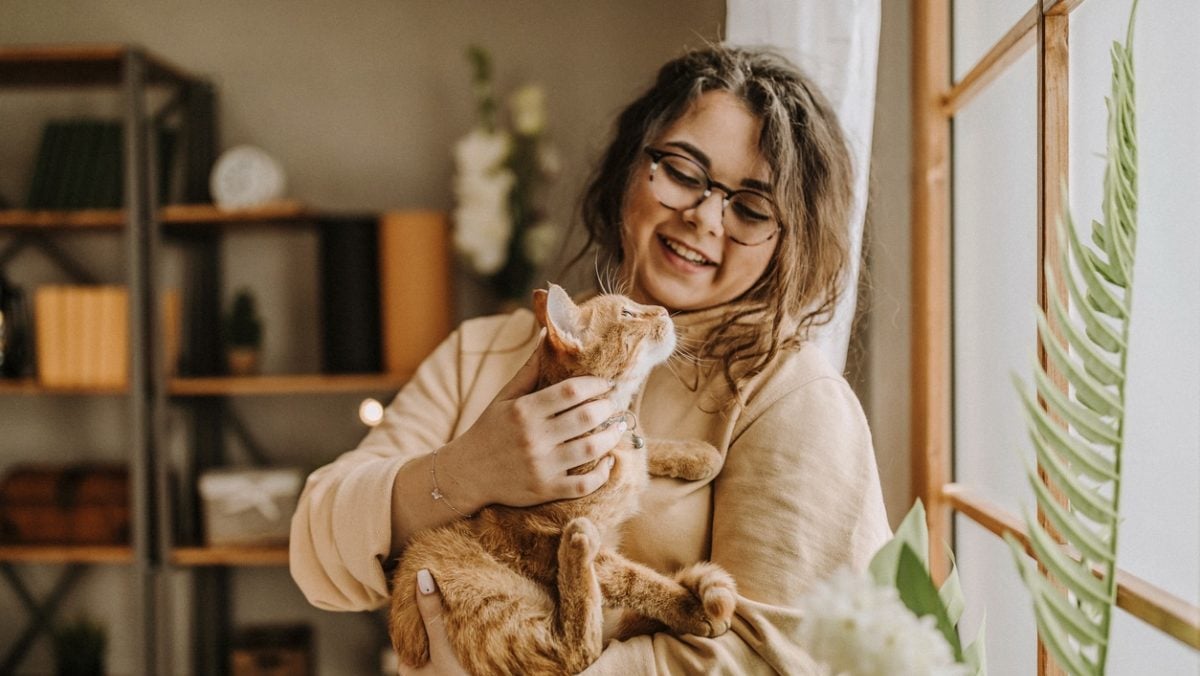 Tips on How to Pick Up a Cat Properly