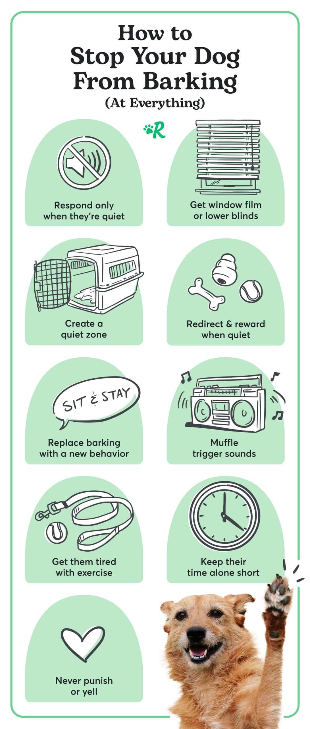 9 Ways To Stop Dog Barking In Seconds