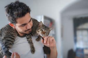 5 Steps to Hold a Cat Safely & Wrong Ways to Hold a Cat