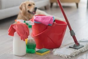 Pet-Safe Cleaning Products for the Whole House