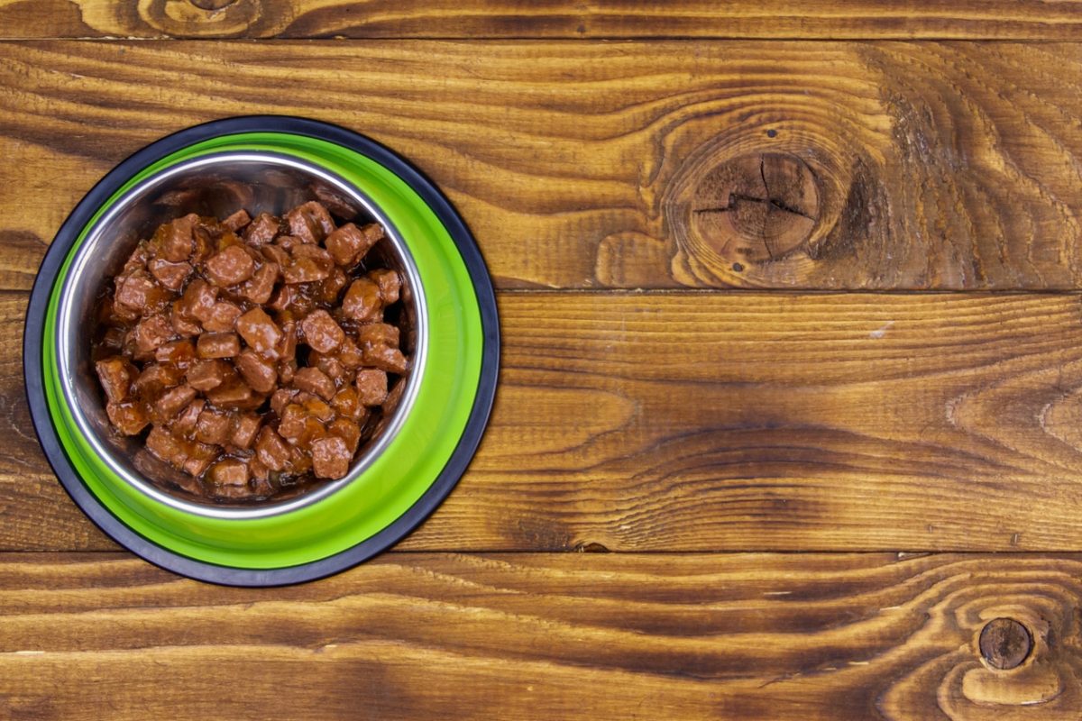 Gravy for Dogs: How to Make Gravy Treats and Meal Toppers for Dogs