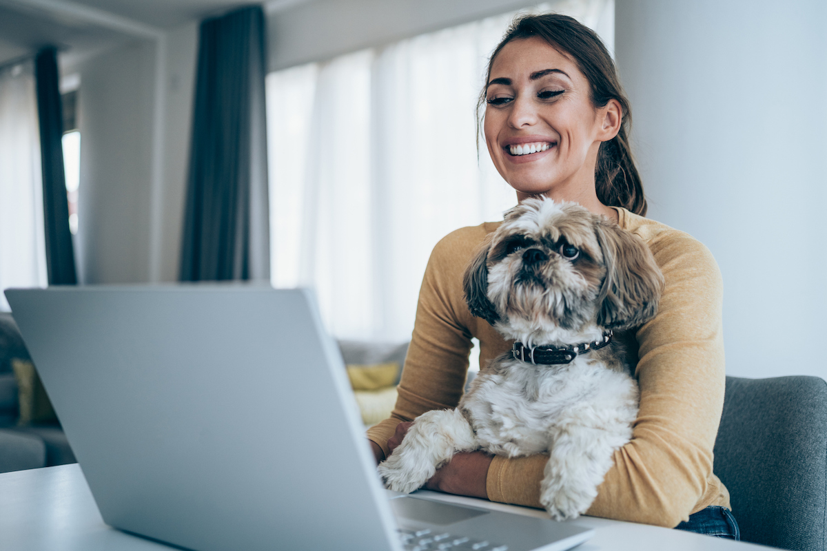 Pawp | The Telehealth Service for Pets That's Shaking Up the Vet World