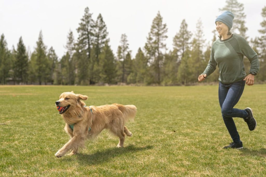 How Dogs Support Our Mental Health