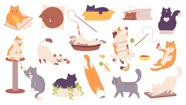 100+ Cartoon Cat Names Inspired by Your Favourite Shows
