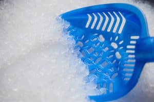 Experts Explain the Different Types of Cat Litter