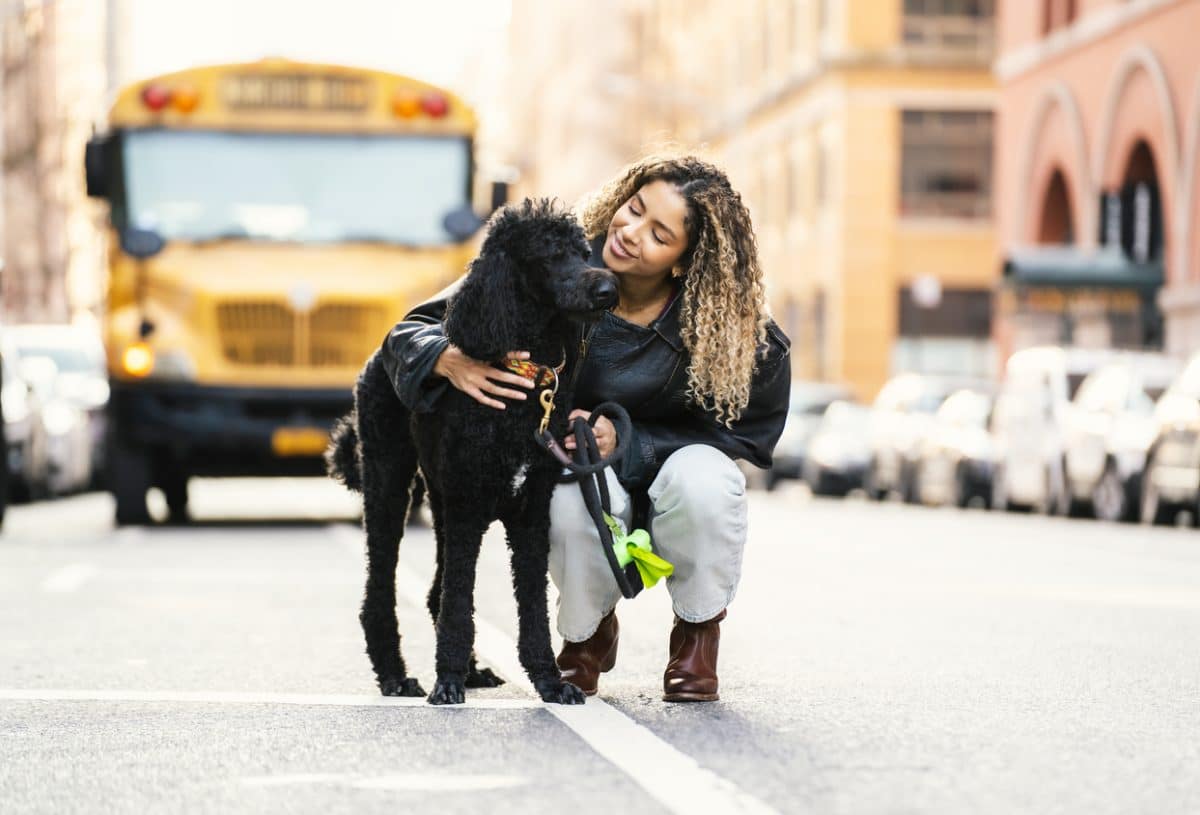 Over 300 Most Popular Poodle Names