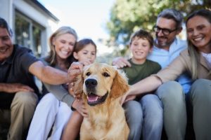First-Time Dog Owner: Tips, Preparation & Mistakes to Avoid