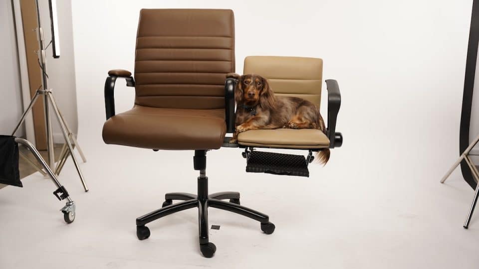 Meet The Office Chair With A Built In Sidecar For Your Pet Meet The Office Chair With A Built In Sidecar For Your Pet