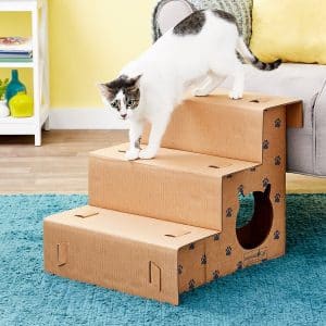 The Best Cat Ramps and Steps for Beds, Couches, Cars, and More