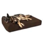 13 Big Dog Beds for Large (& Extra-Large) Breeds Reviewed