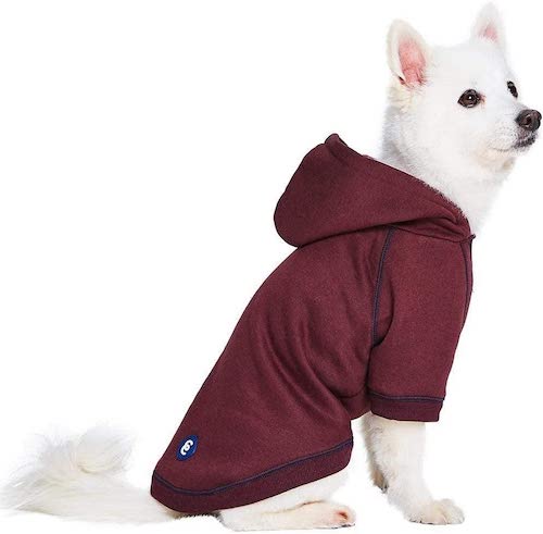 The 14 Best Large Dog Clothes for Really Big Pups
