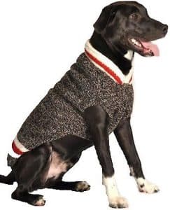 The 14 Best Large Dog Clothes for Really Big Pups