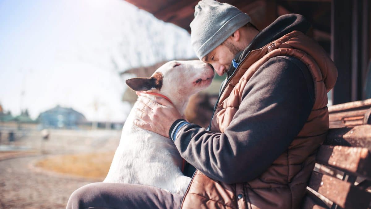 16 Most Loyal Dog Breeds