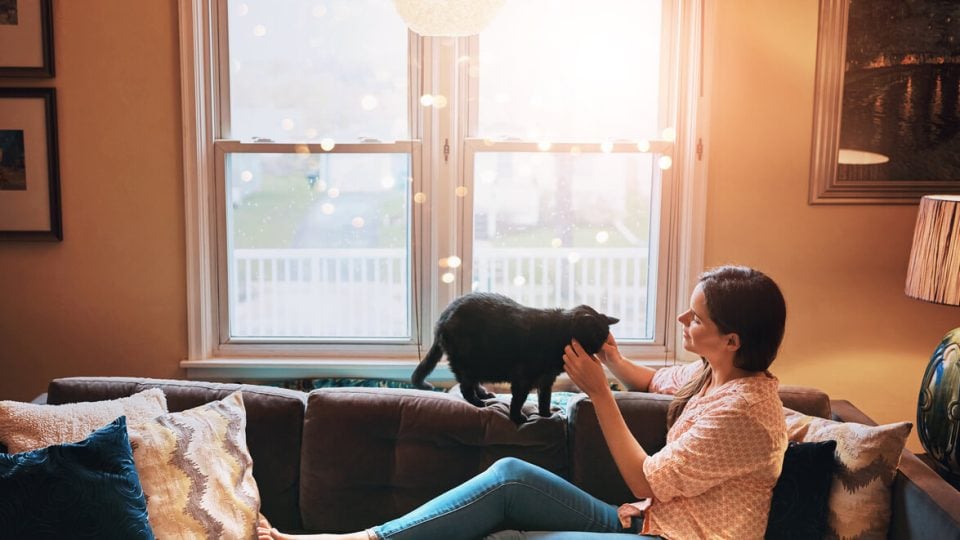 What Is the Going Rate for Cat Sitters?