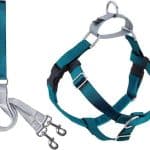 The 9 Best No-Pull Harnesses for Dogs Who Tug