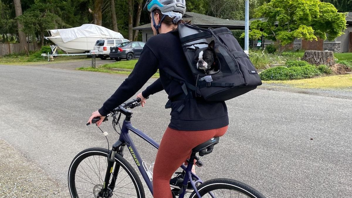 We Reviewed Timbuk2's Muttmover Dog Backpack and It's a Winner
