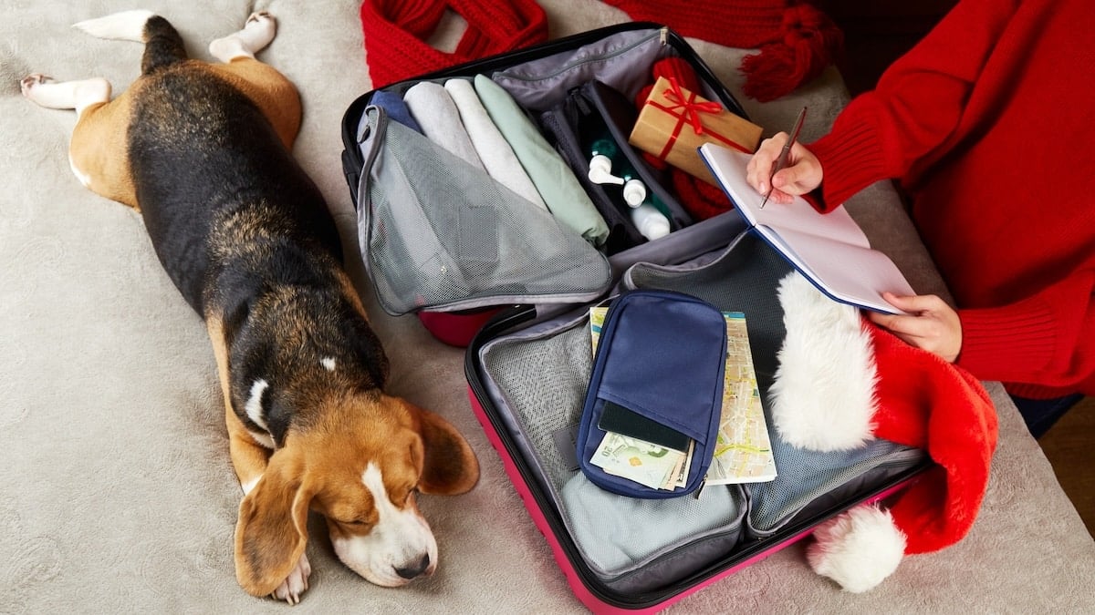 A Checklist To Get Ready for the Dog Sitter