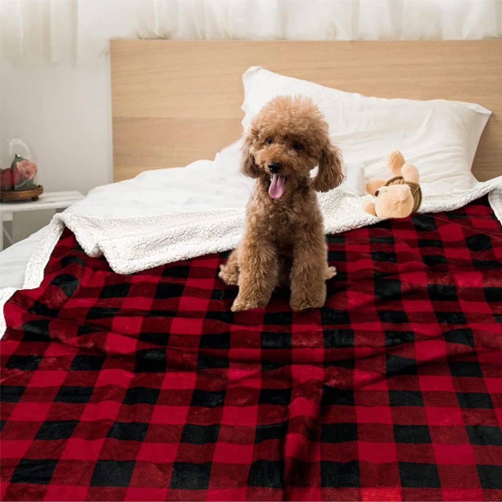 The Top Pet Hair-Resistant Bedding and Dog-Friendly Sheets