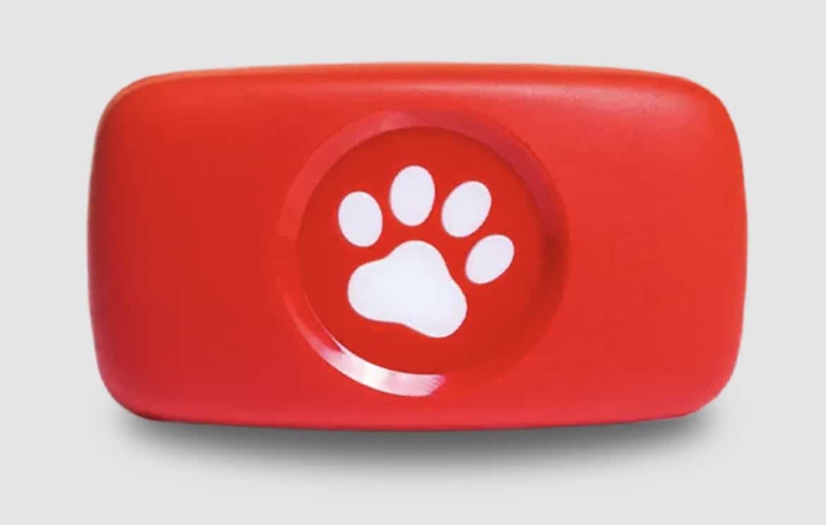 Best 6 Activity Trackers for Your Dog