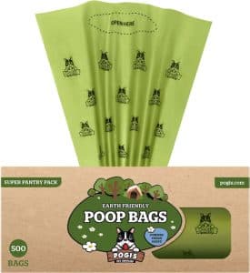 Are Biodegradable Poop Bags Really Better for the Environment?