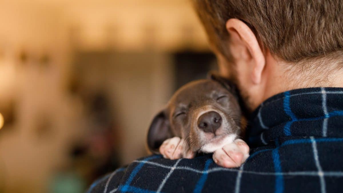 First 6 Months of Puppy Parenting: Tips, Development Stages & More