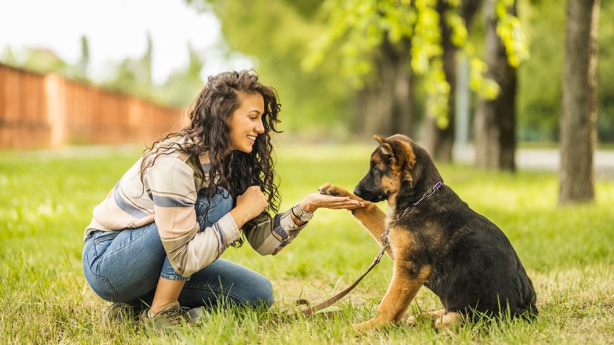 Puppy Training 101: Basic Training Guide and Checklist