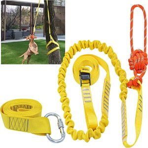 The 10 Best Dog Rope Toys for Good Fun and Clean Teeth