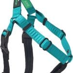 The 8 Best Harnesses for Golden Retrievers