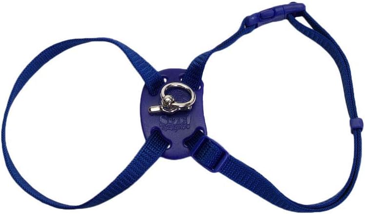 The 8 Best Cat Harnesses for Kitties of All Shapes and Sizes