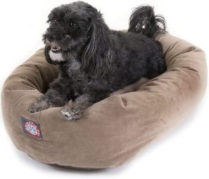 The 11 Best Beds for Small Breed Dogs