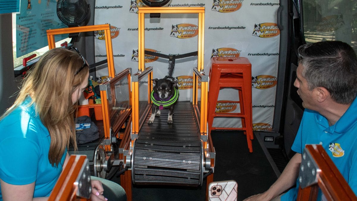 This Mobile Dog Gym Brings Your Dog's Workout Right to Your Door
