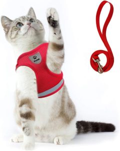 The 8 Best Cat Harnesses for Kitties of All Shapes and Sizes