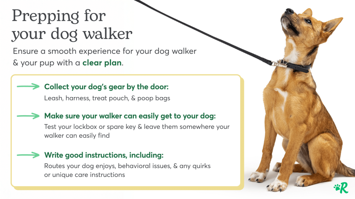 How To Prepare Your Dog For A Dog Walker