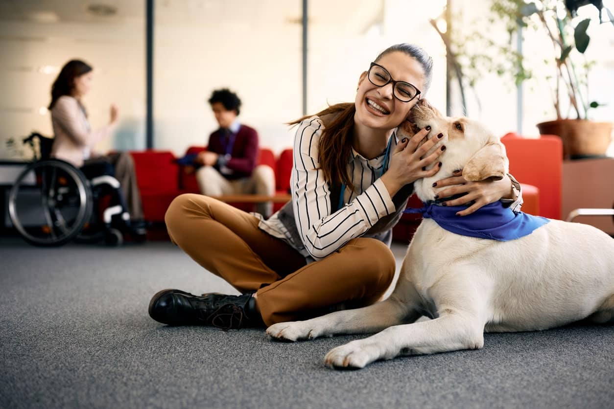Therapy Dog Training: Step-By-Step Guide