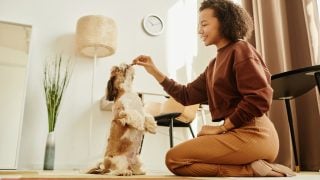 Puppy Training 101: Basic Training Guide and Checklist