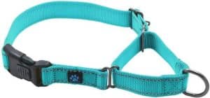 The 13 Best Dog Training Collars, Leashes, and Harnesses