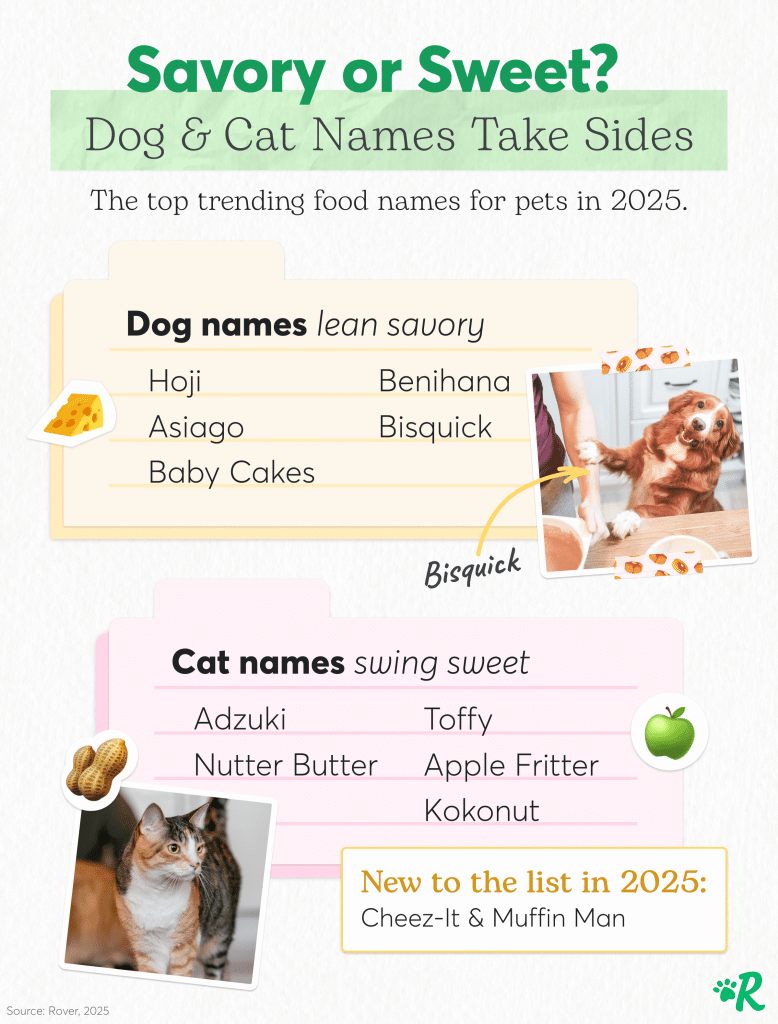 Trending Pet Names of 2025