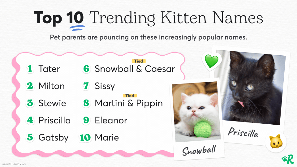 Trending Pet Names of 2025