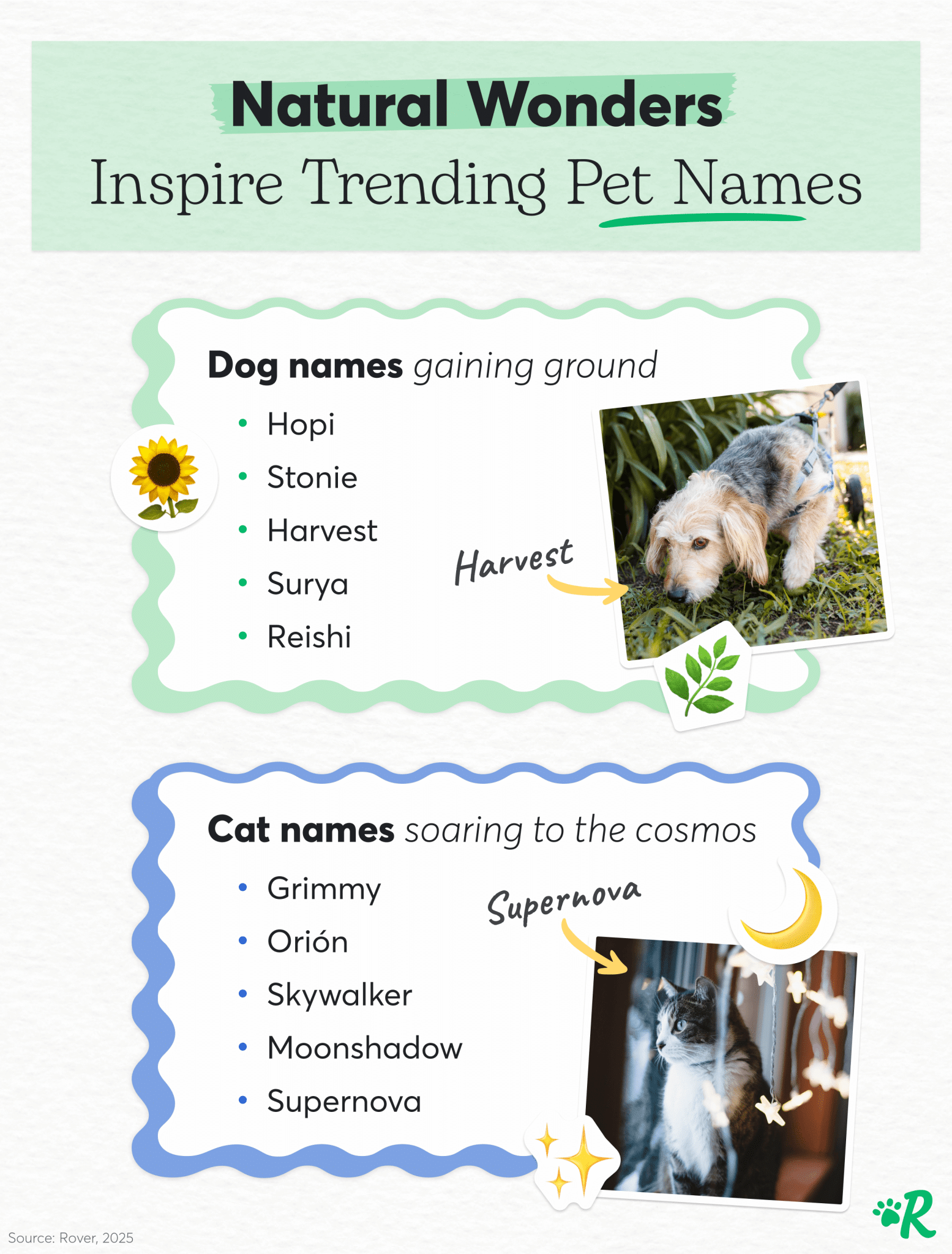 Trending Pet Names of 2025