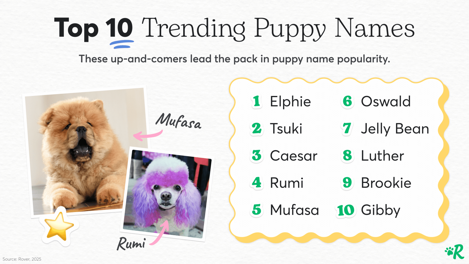 Trending Pet Names of 2025