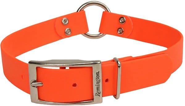 The 7 Best Waterproof Dog Collars for Wet and Muddy Adventures