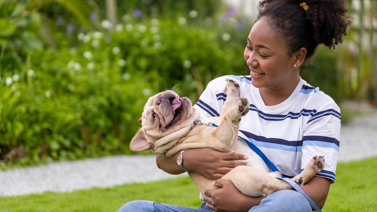 Where to Get a Puppy & What To Know About Puppy Adoption