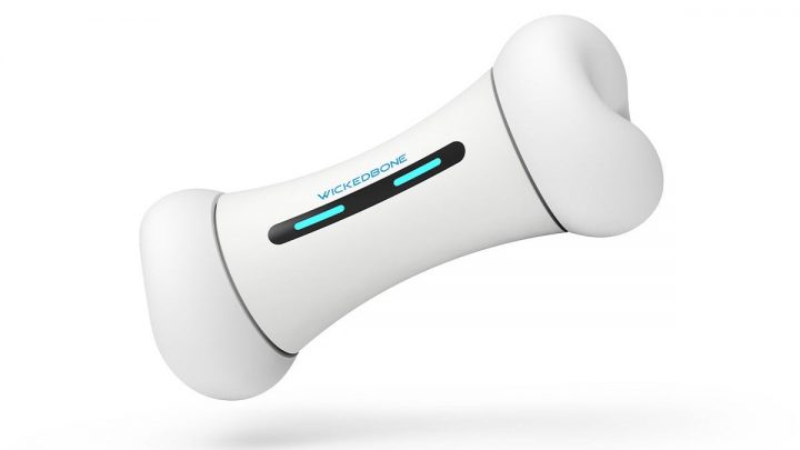 A Rover Test Pup Reviews the Wickedbone Smart Toy