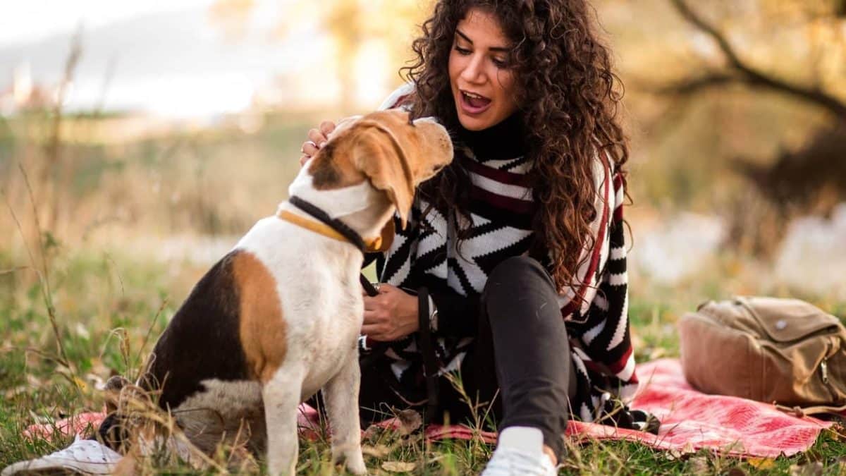 How To Speak Dog: 6 Ways To Communicate With Your Pup