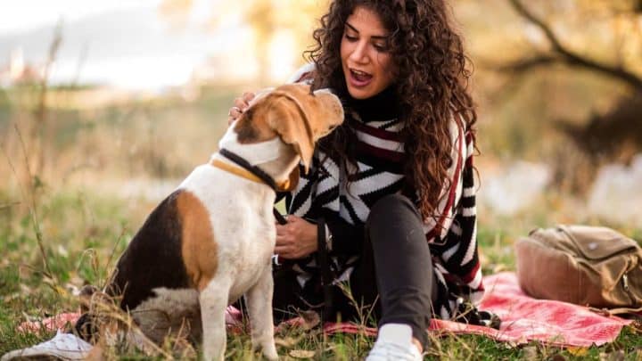 How To Speak Dog: 6 Ways To Communicate With Your Pup