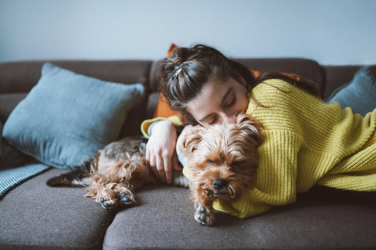 Top 300 Yellow Dog Names