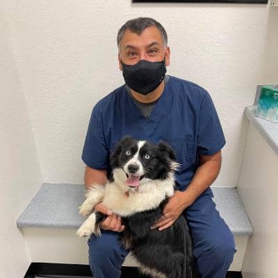 michael s. | Oxnard, CA | Rover.com